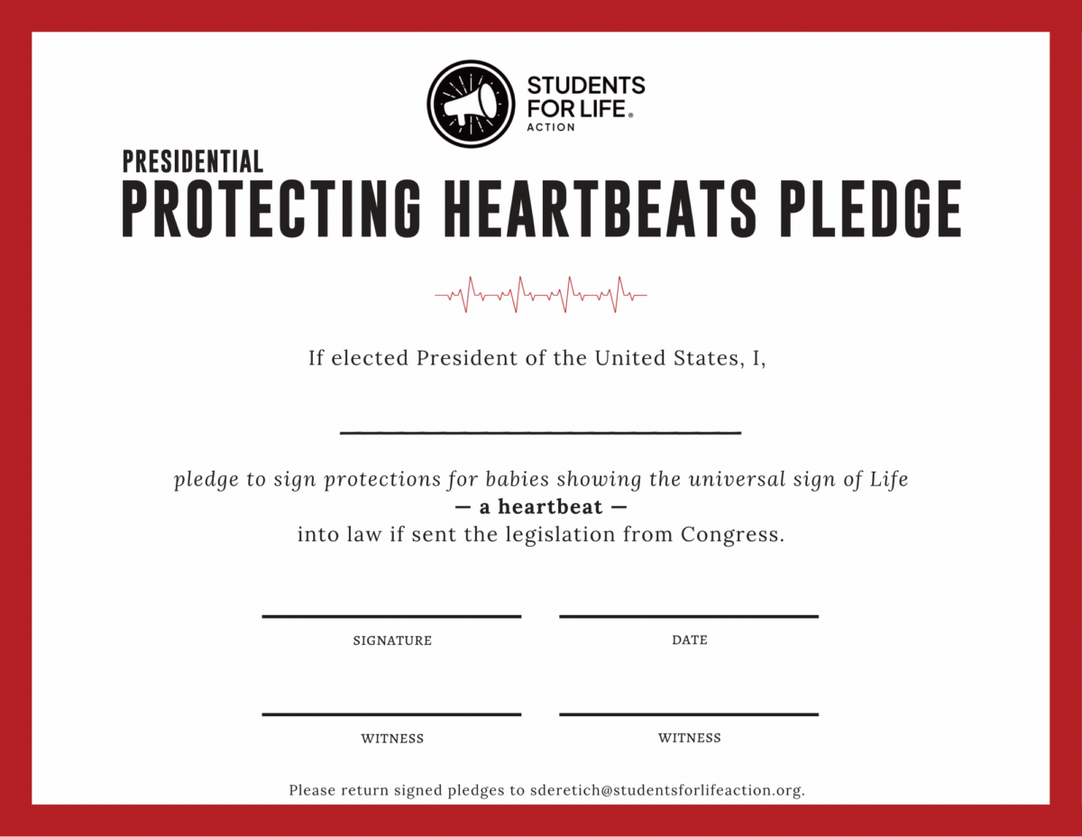 2023 RECAP: The Top Performing Stories on Students for Life Action This ...